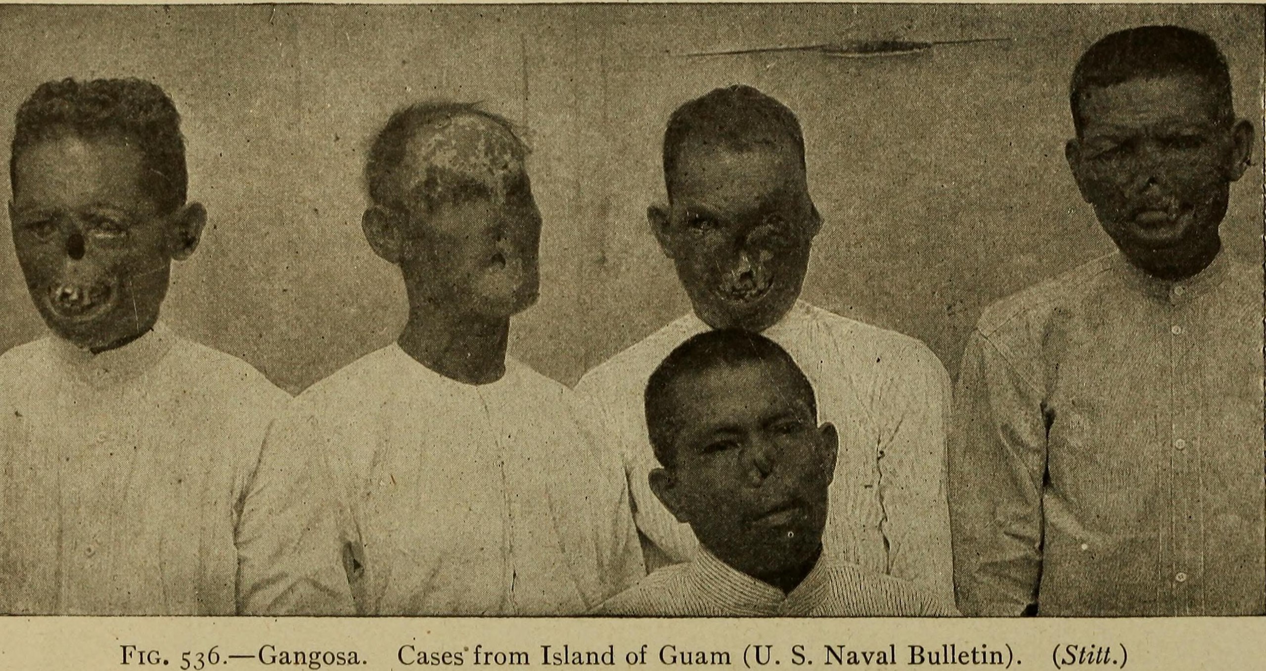More than a ship’s surgeon: William Anderson – UNEXAMINED MEDICINE